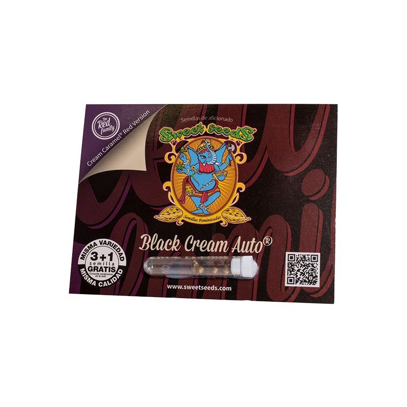 Black Cream Auto Sweet Seeds