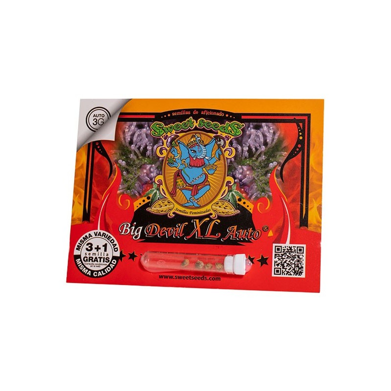 Big Devil #2 Auto Sweet Seeds